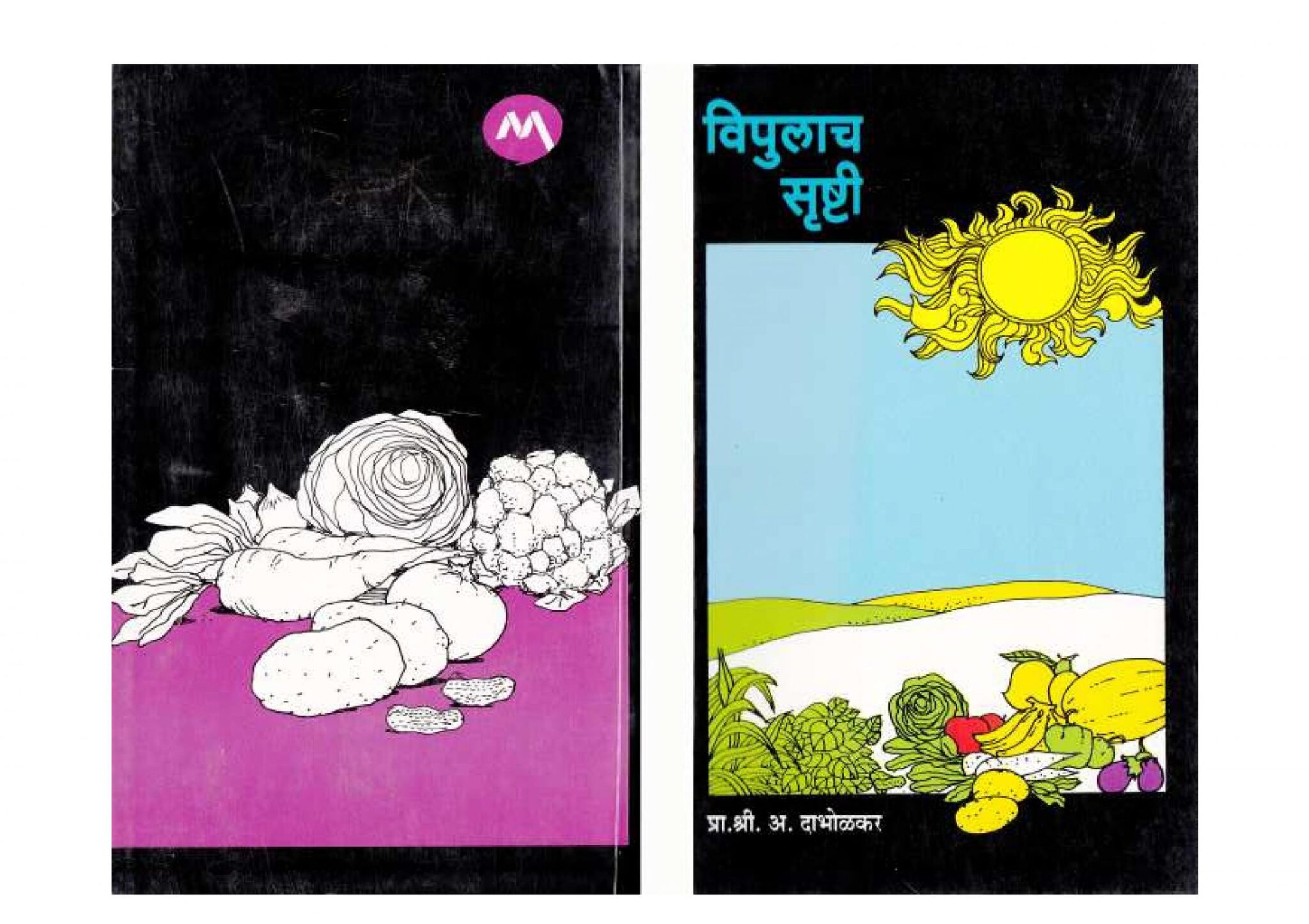 इंग्लिश टू मराठी डिक्शनरी | English to Marathi Dictionary | Marathi PDF ...